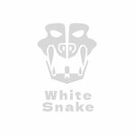 White Snake (2nd Verkhny Mikhaylovsky Drive No:9с5), profesyonel fotoğraf stüdyosu  Moskova'dan