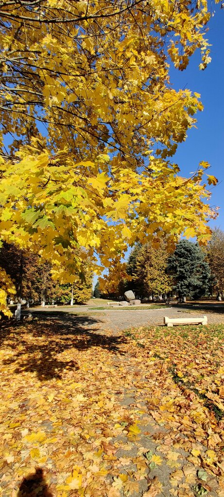 Anıt, heykel Народное единство, Moguilev, foto