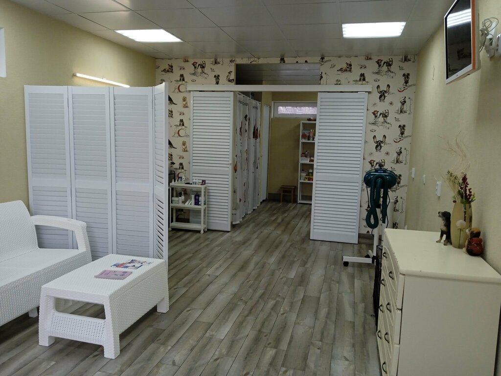 Evcil hayvan kuaförleri Barboskiny, Belgorod, foto