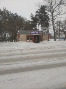 Otel Ozon, Pavlovsk, foto
