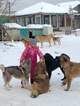 Пёс и Кот (Zheleznodorozhnaya Street No:180Б), hayvan barınakları, kulüpleri ve otelleri  Sakhalinsk'ten