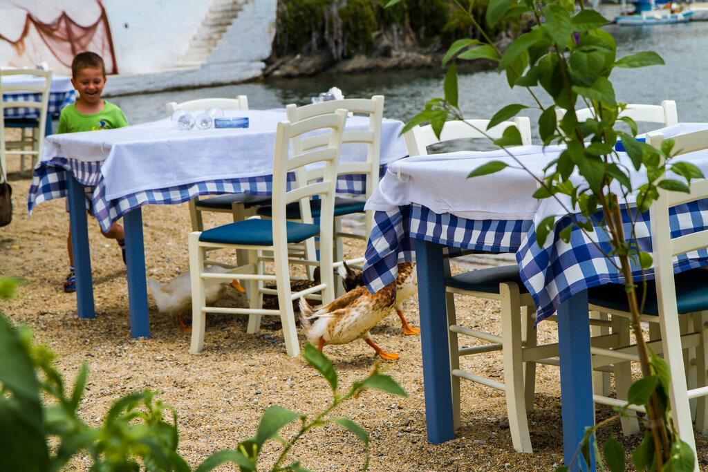 Kafe Ta Kymata fresh fish & seafood Taverna restaurant, Dünya, foto