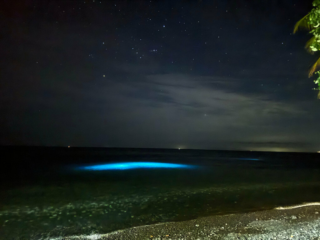 Dalış kulüpleri ve eğitim merkezleri Puri madha Dive Resort, Bali, foto