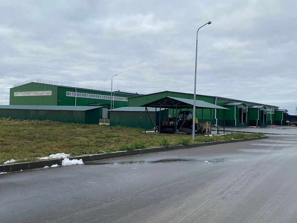 Un ve tahıllar Garnec, Vladimirskaya oblastı, foto