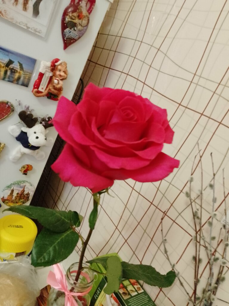 Çiçekçiler Планета цветов, Alabuğa, foto