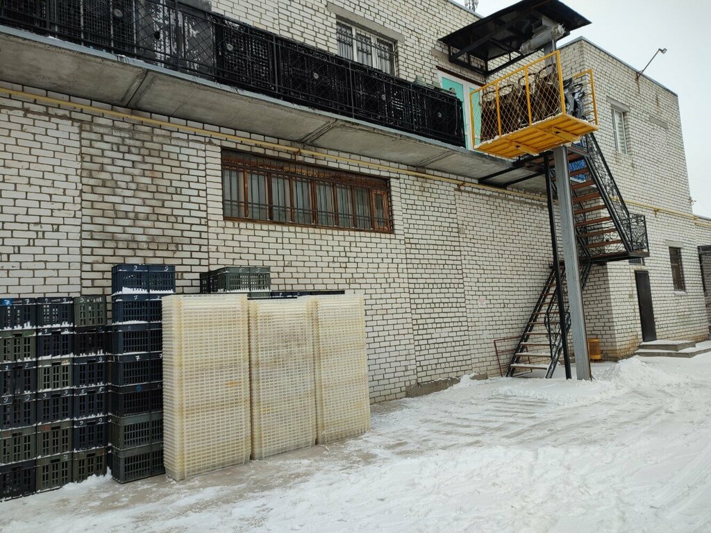 Geri dönüşüm maddeleri Планета земля, Cheboksary, foto