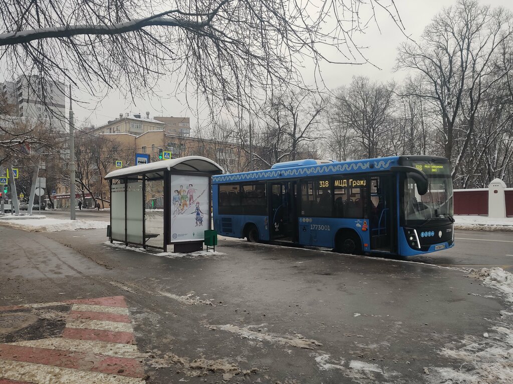 Toplu taşıma durağı Stary Petrovsko-Razumovsky Drive, Moskova, foto