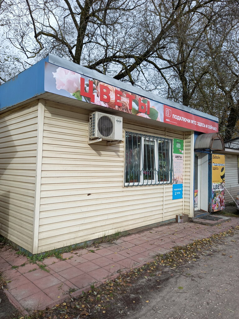 Çiçekçiler Цветы, Kurlovo, foto