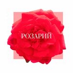 Rosariy (40 Let Pobedy Street No:38), çiçekçiler  Tolyatti'den (Togliatti'den)