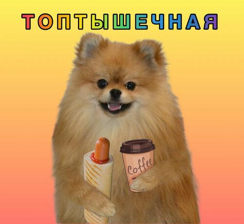 Kahve dükkanları Toptyshechnaya, Karelya, foto