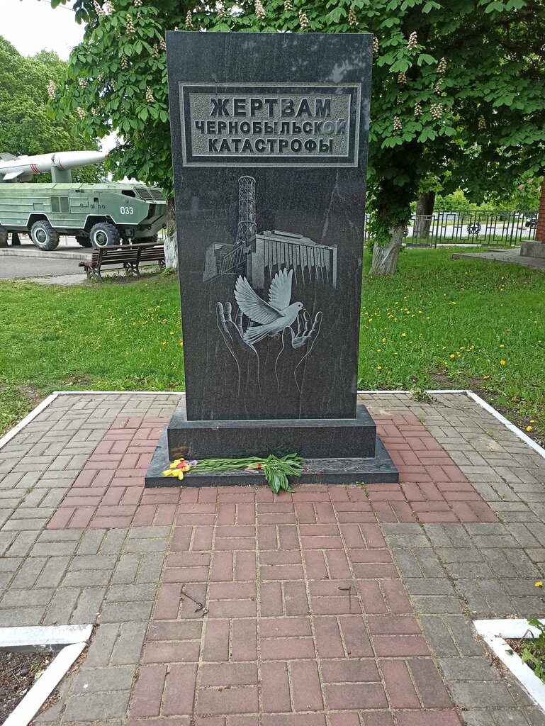 Anıt, heykel Жертвам Чернобыльской катастрофы, Şçigry, foto