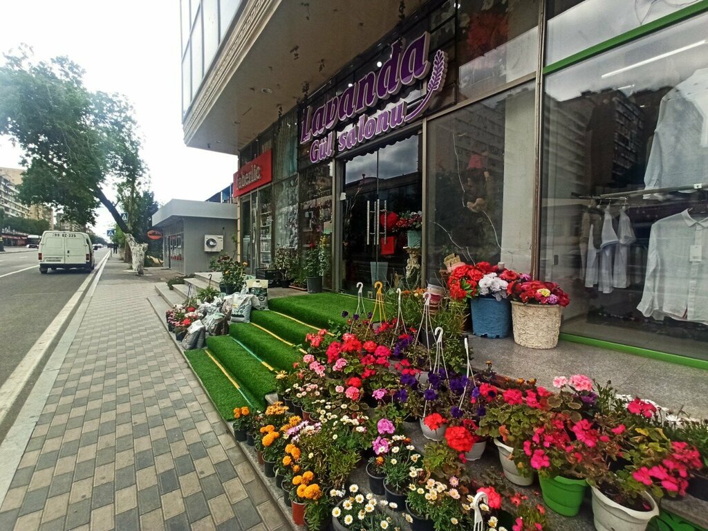 Çiçekçiler Lavanda, Bakü, foto