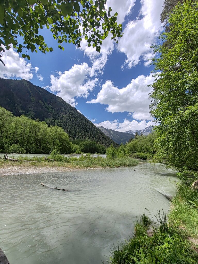 Doğa koruma alanı Государственный природный заказник Архызский, Karaçay‑Çerkez Cumhuriyeti, foto