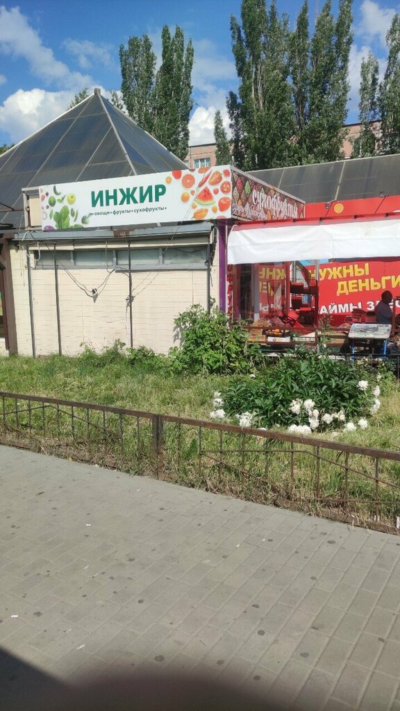 Kuruyemiş, atıştırmalık, kuru meyve Инжир, Penza, foto