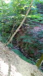 Spring, stream (Krasnodar Territory, Goryachiy Klyuch, mikrorayon Kurortnaya Zona), pınar, çay  Goriaçi Kliuç'tan