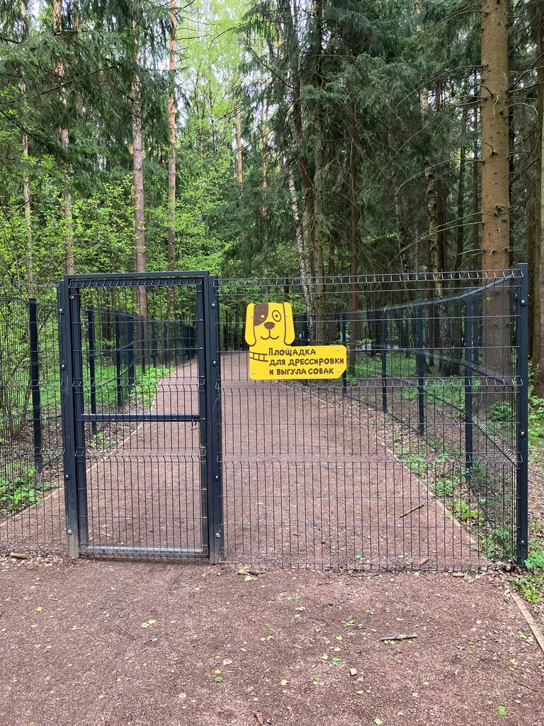 Köpek gezdirme alanları Dog park, Moskova, foto