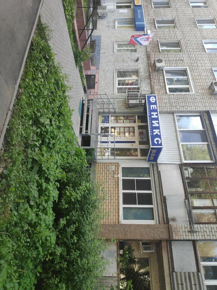 Pasaport ve göç hizmetleri Феникс, Saratov, foto