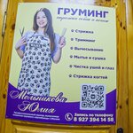 Gruming Yulii Mel'nikovoy (Svetlaya Street No:15, Village of Zasechnoe), evcil hayvan kuaförleri  Penzenskaya oblastından