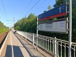 40 Км (Leningrad Region, Tosnenskiy District, Fornosovskoye gorodskoye poseleniye), tren istasyonu  Saint‑Petersburg ve Leningradskaya oblastından