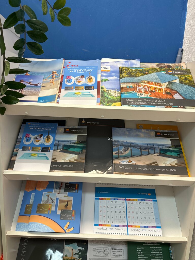 Seyahat acenteleri Coral Travel, Domodedovo, foto