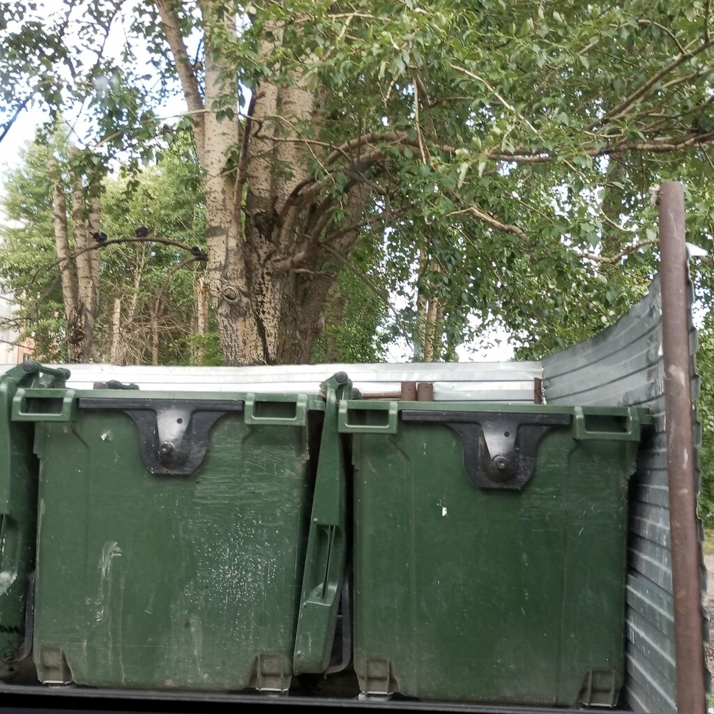Çöp alanları Trash and garbage disposal area, Severodvinsk, foto
