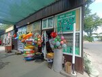1000 Melochey (Jambyl oblysy, Taraz, Rysqulov kóshesi), mini-market  Taraz'dan