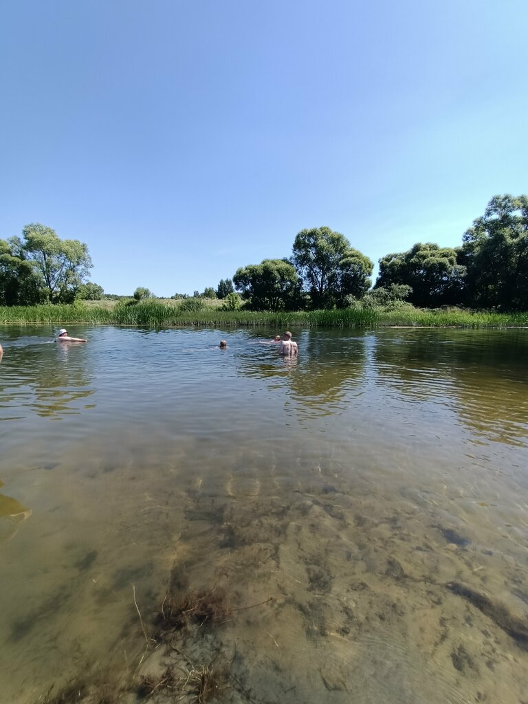 Plaj Beach, Riazanskaya oblastı, foto