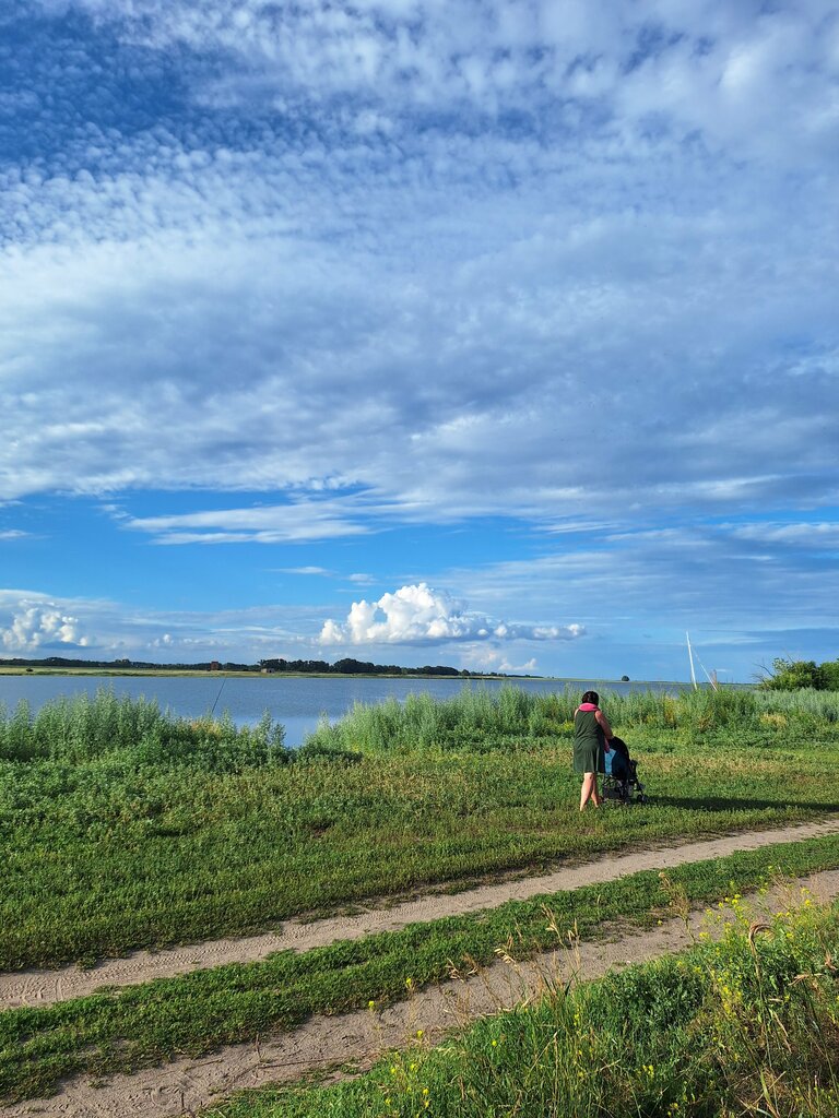 Resort oteller, tesisler Дом отдыха, Altayski krayı, foto