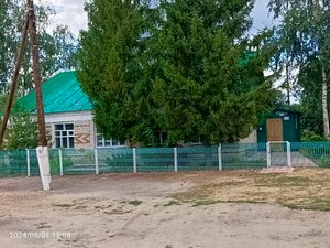 Мечеть (Sovetskaya ulitsa No:52А, selo Moseyevka), cami  Ulyanovskaya oblastından