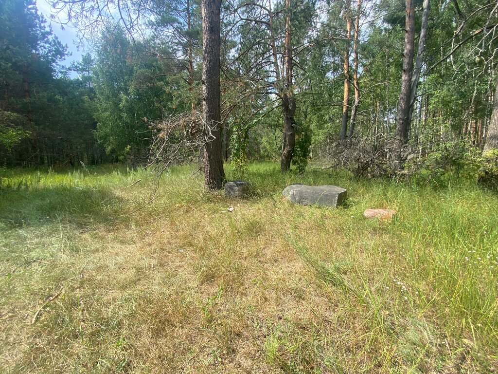 Doğa Большой камень у Спас-Железина, Vladimirskaya oblastı, foto