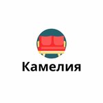 Камелия (MKAD, 8th kilometre No:3к1), koltuk takımı mağazaları  Moskova'dan