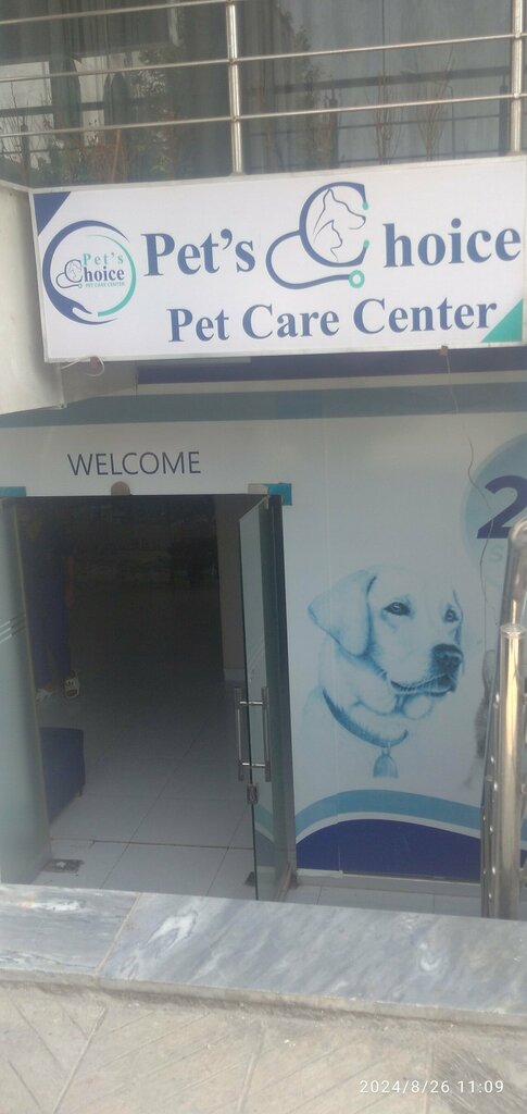 Veteriner klinikleri Pet's Choice Pets Care Center, Islamabad, foto