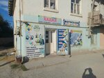 Hadiya (Magzhan Zhumabayev Street No:2), fotoğraf hizmetleri  Kızılorda'dan