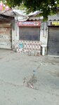 Joja pan shop (No:19, Aziz Bhatti Town, Block C), market  Lahor'dan