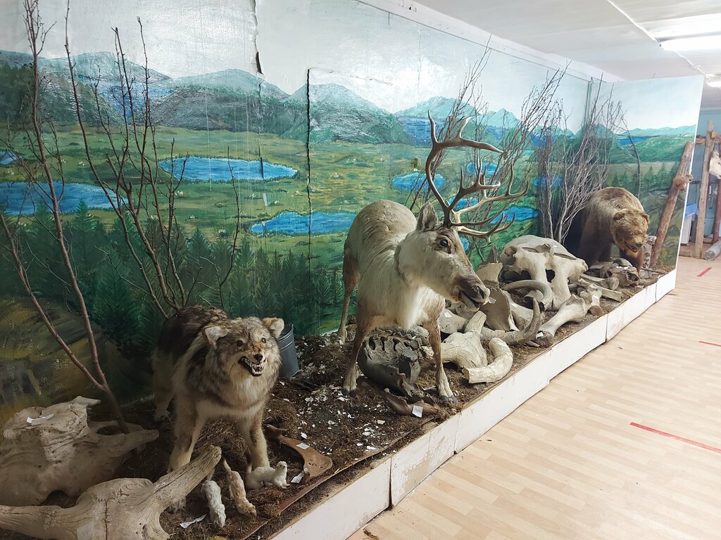 Müzeler ve sanat galerileri Музей изобразительного искусства и культуры Арктики, Saha Cumhuriyeti (Yakutistan), foto