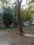 Упаком (Internatsionalniy Avenue No:57), hediyelik eşya mağazaları  Komsomolsk‑at‑Amur'dan