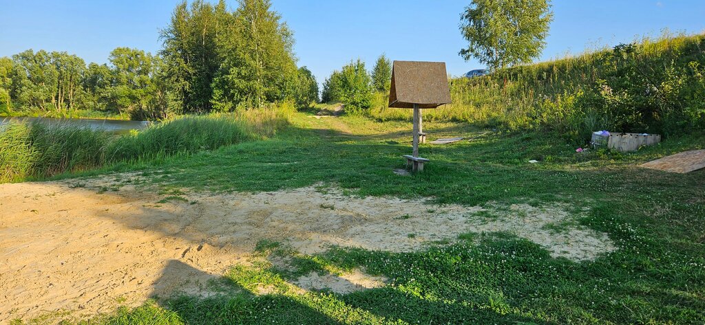 Plaj Пляж Пруд Добрынинский, Riazanskaya oblastı, foto