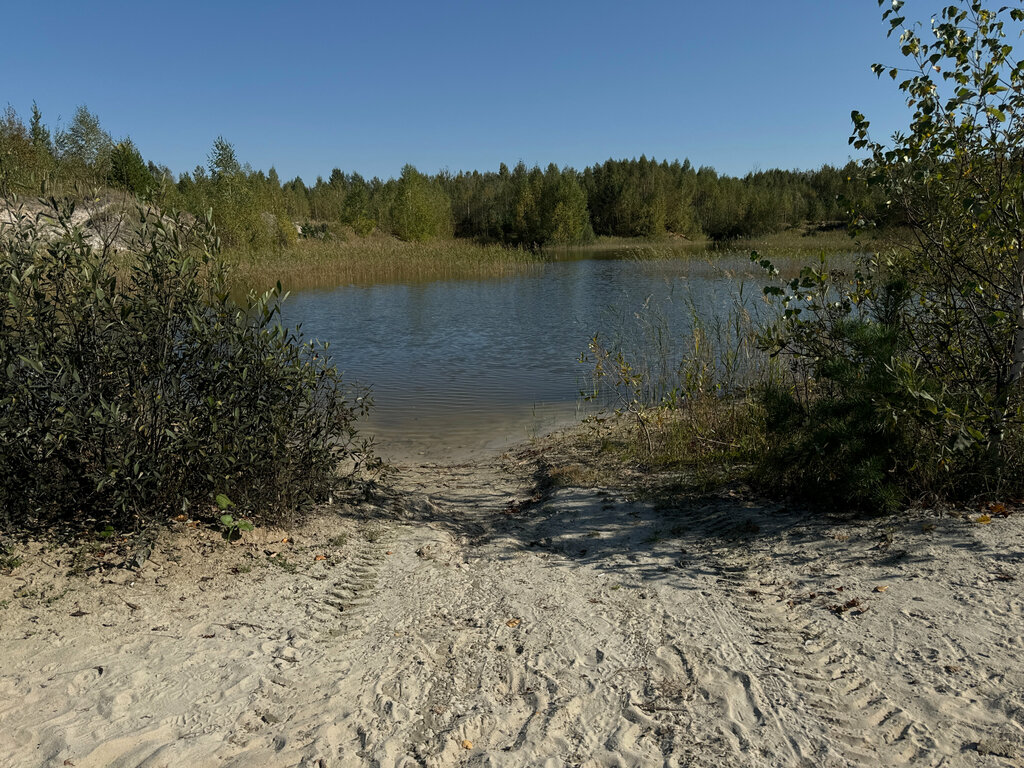 Plaj Пляж, Moskova ve Moskovskaya oblastı, foto