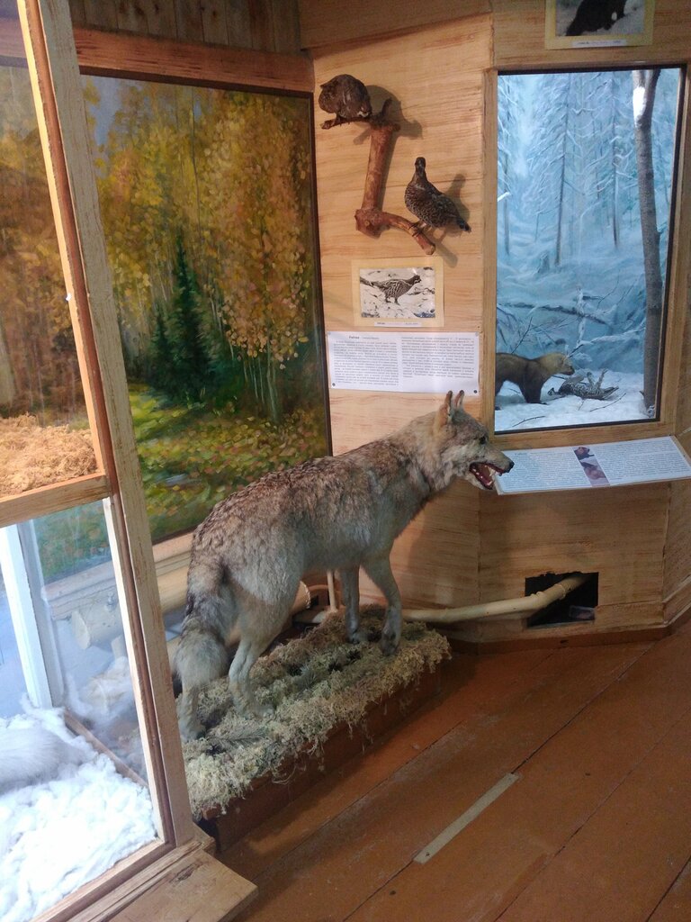 Müzeler ve sanat galerileri Музей государственного Печоро-Илычского заповедника, Komi, foto