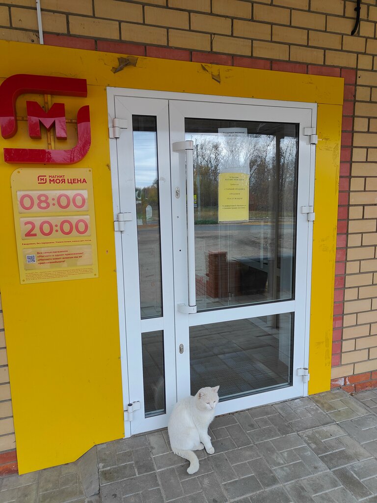 Süpermarket Magnit Moya Tsena, Mariy El Cumhuriyeti, foto