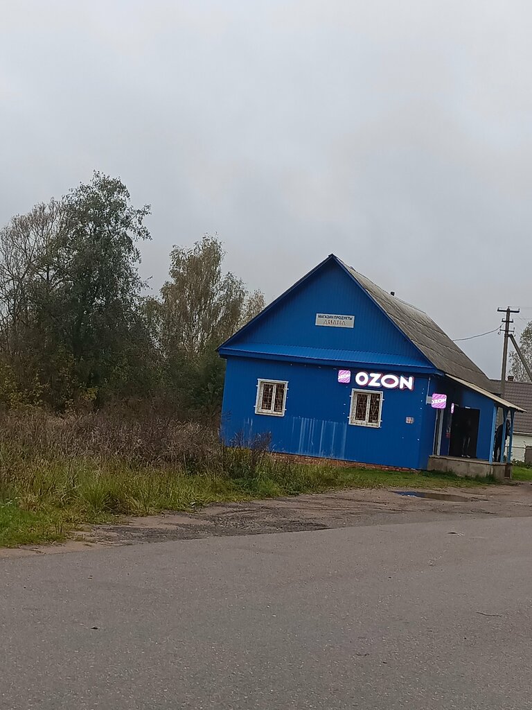 Teslimat noktası Ozon, Pskovskaya oblastı, foto