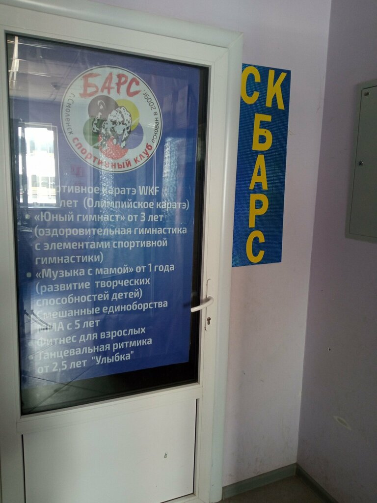Fitness kulüpleri Zhenskaya studiya fitnesa Ideal, Smolensk, foto