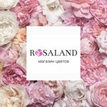 RosaLand (Bazarnaya Street No:111), çiçekçiler  Tambov'dan