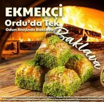 Ekmekçi (Ordu, Altınordu, Zübeyde Hanım Cad., 110), ekmek fırını  Altınordu'dan