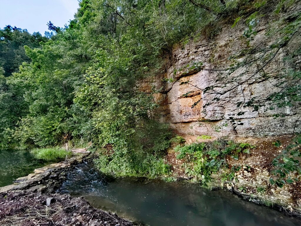 Plaj Пляж, Lipetskaya oblastı, foto