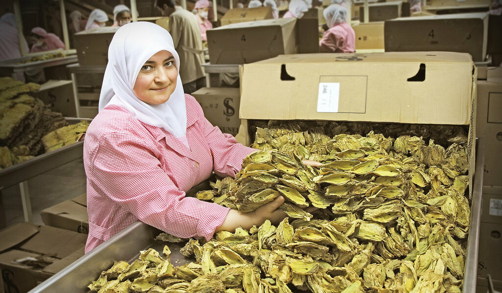 Tütün mamülleri üreticileri Sunel Tobacco Company, İzmir, foto