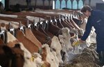 Doğagen Genetik Vet. Hiz. ve Tarım Ekipmanları Dış Tic. ve Paz (Samsun, Atakum, Yenimahalle Mah., 3126. Sok., 11A), yönetim ofisi  Atakum'dan