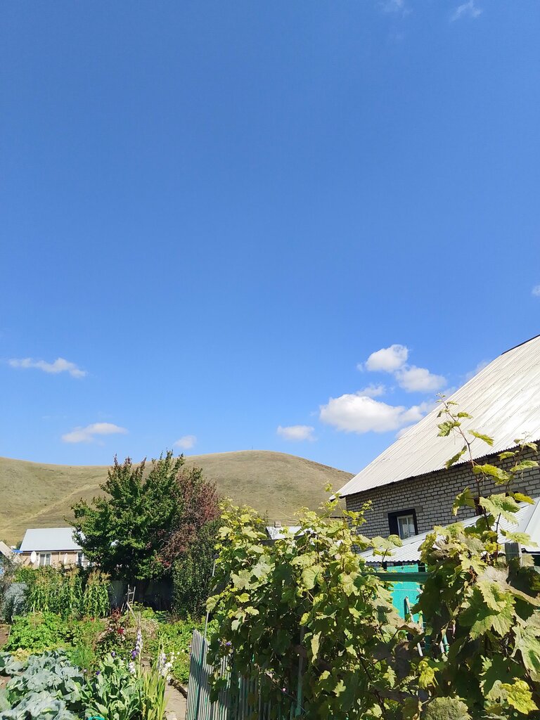 Dağ zirvesi Гора 441 метр, Orenburgskaya oblastı, foto