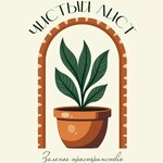 Чистый лист (Bolshaya Nizhegorodskaya Street No:91), çiçekçiler  Vladimir'den