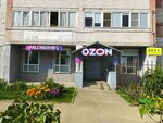 Wildberries (Yaroslavskaya ulitsa No:33), teslimat noktası  Vologda'dan